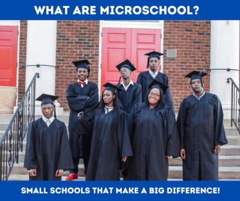 What Are Microschools? & How To Start A Microschool In 2023?